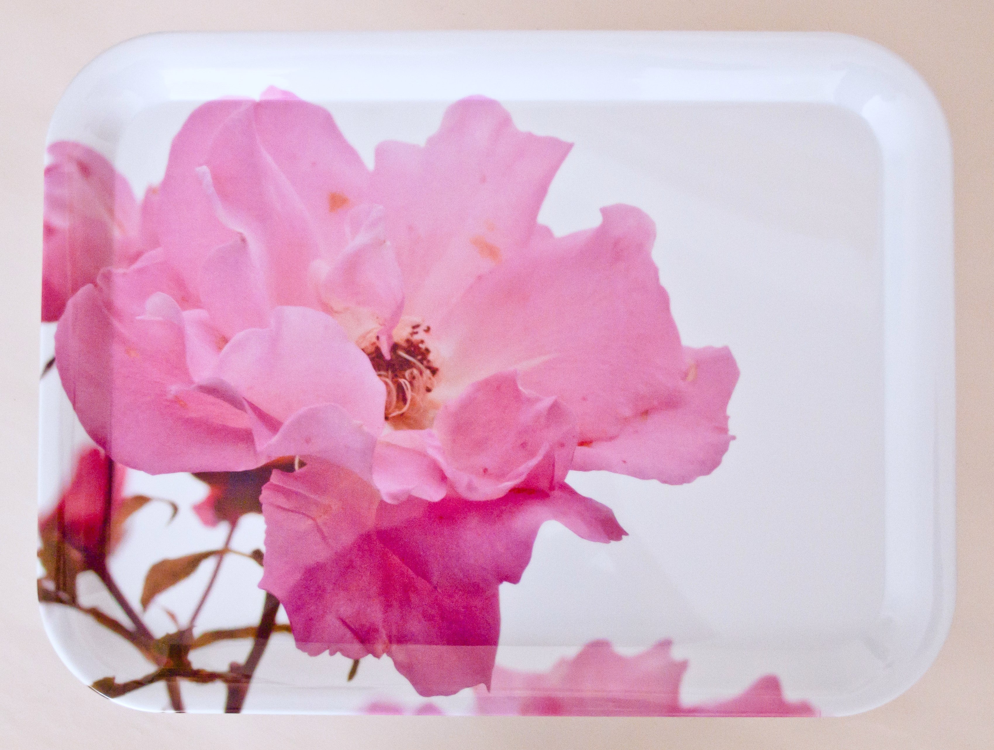 Tray - Rose – Gregory Dennis Design
